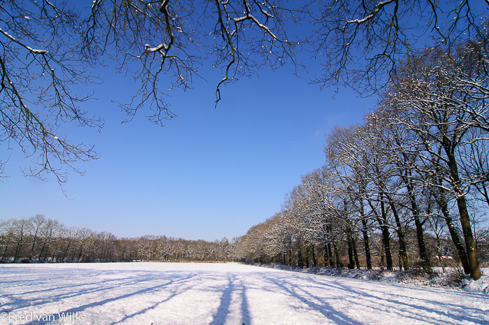 Blog and recent images by Nature and Wildlife Photographer Fred van Wijk