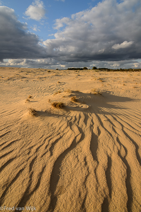 Foto van de maand en nieuws Natuurfotografie Fred van Wijk