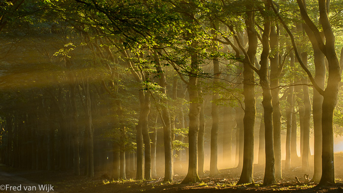 Foto van de maand en nieuws Natuurfotografie Fred van Wijk