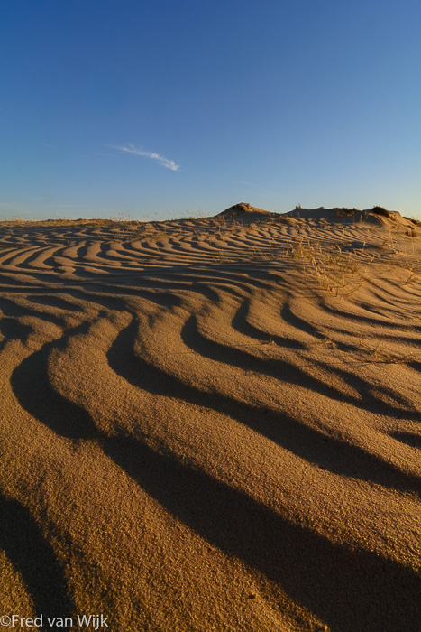 Foto van de maand en nieuws Natuurfotografie Fred van Wijk
