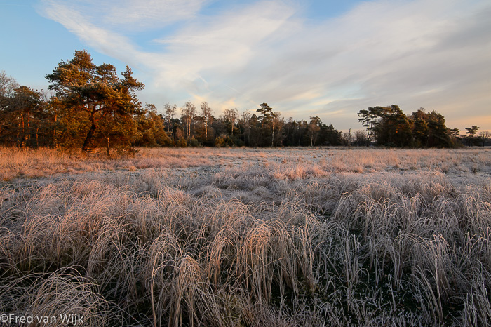 Foto van de maand en nieuws Natuurfotografie Fred van Wijk