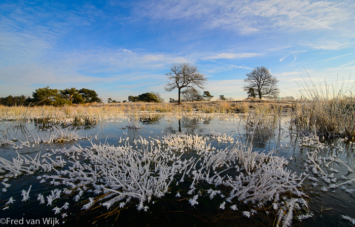 Foto van de maand en nieuws Natuurfotografie Fred van Wijk