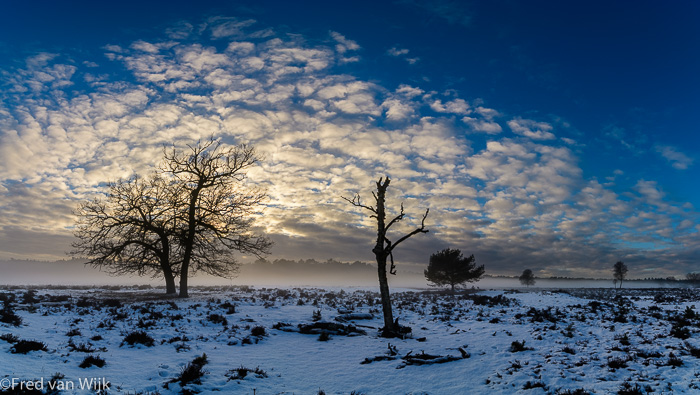Foto van de maand en nieuws Natuurfotografie Fred van Wijk